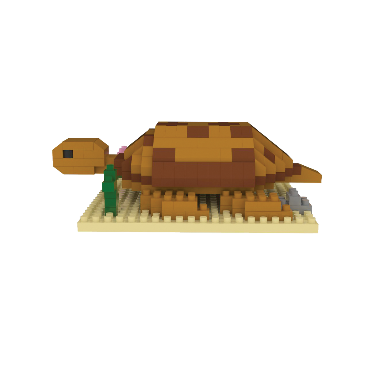 Mini Building Blocks: Desert Tortoise– Plunkett's Hallmark