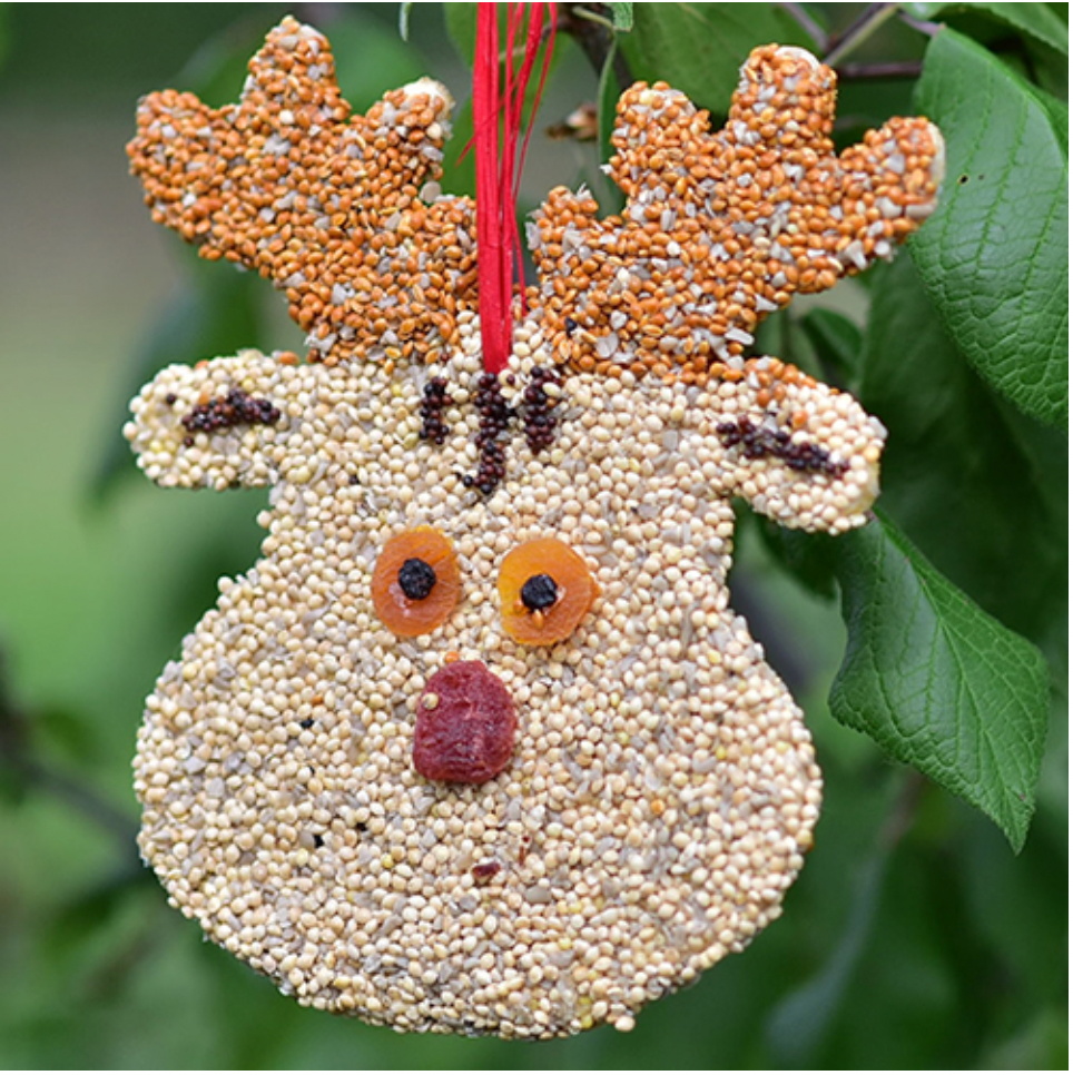Rudolph Bird Seed Cookie– Plunkett's Hallmark